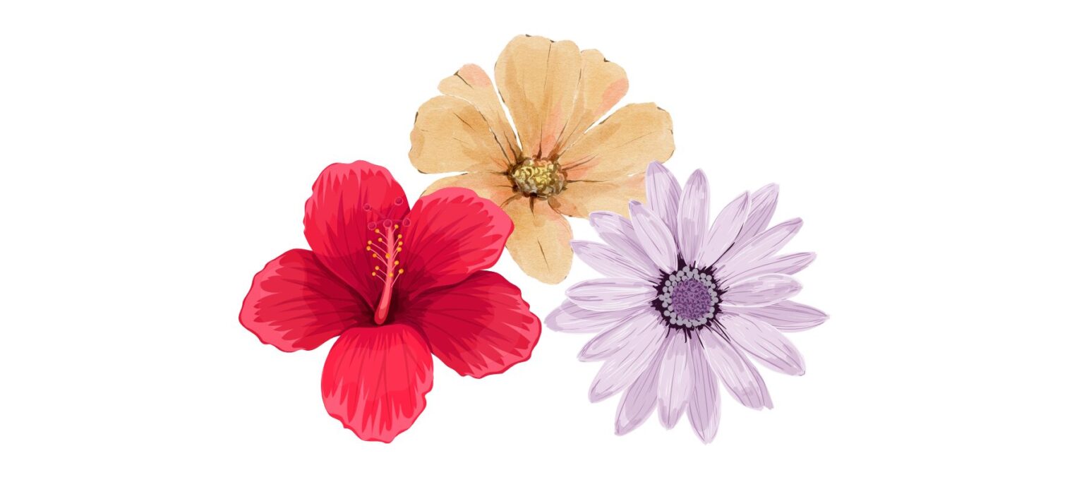 Count the Flowers 1-10 Number Worksheets | Lazy Worksheets