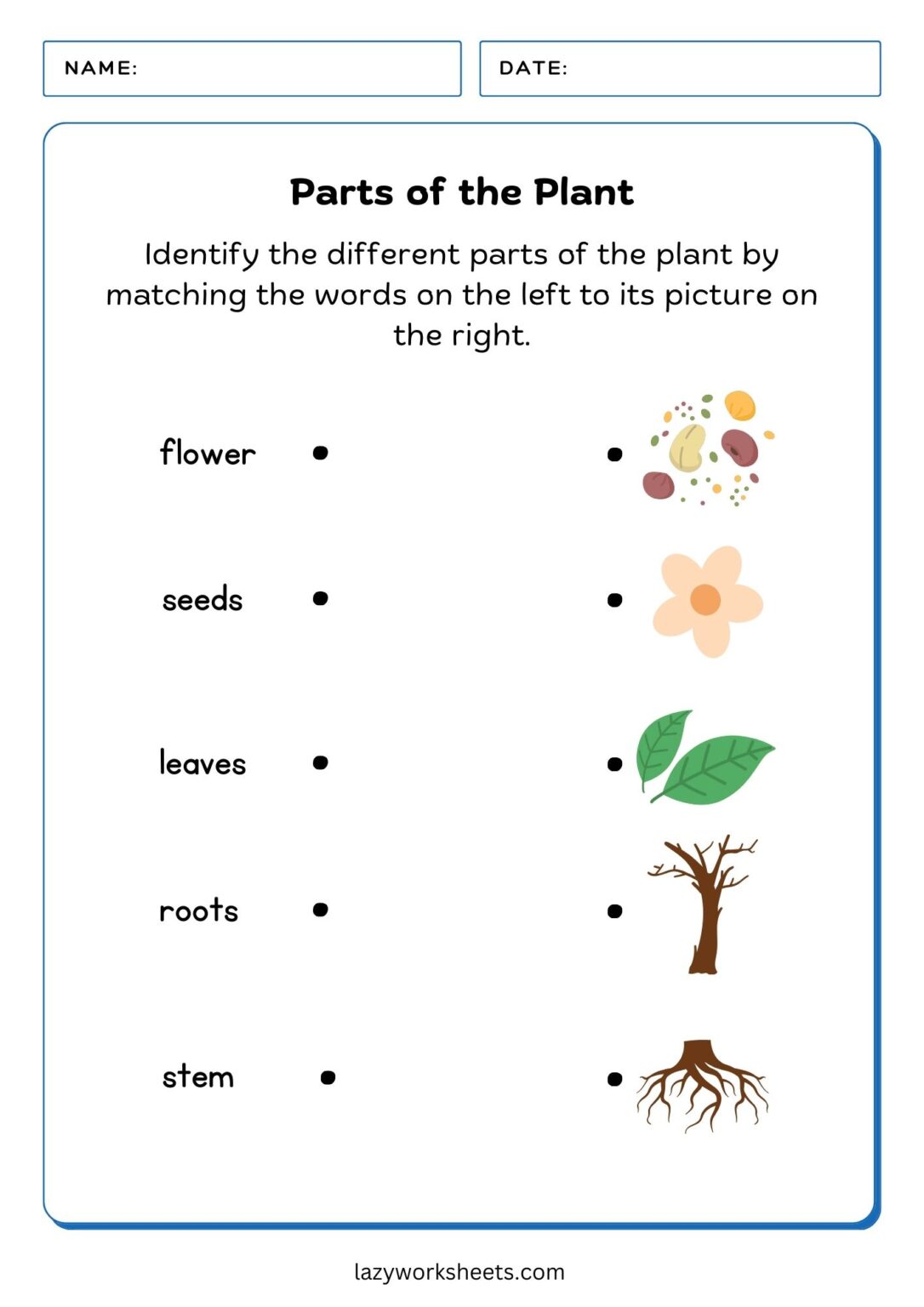 Parts of the Plants Worksheets for Kindergarten | Lazy Worksheets