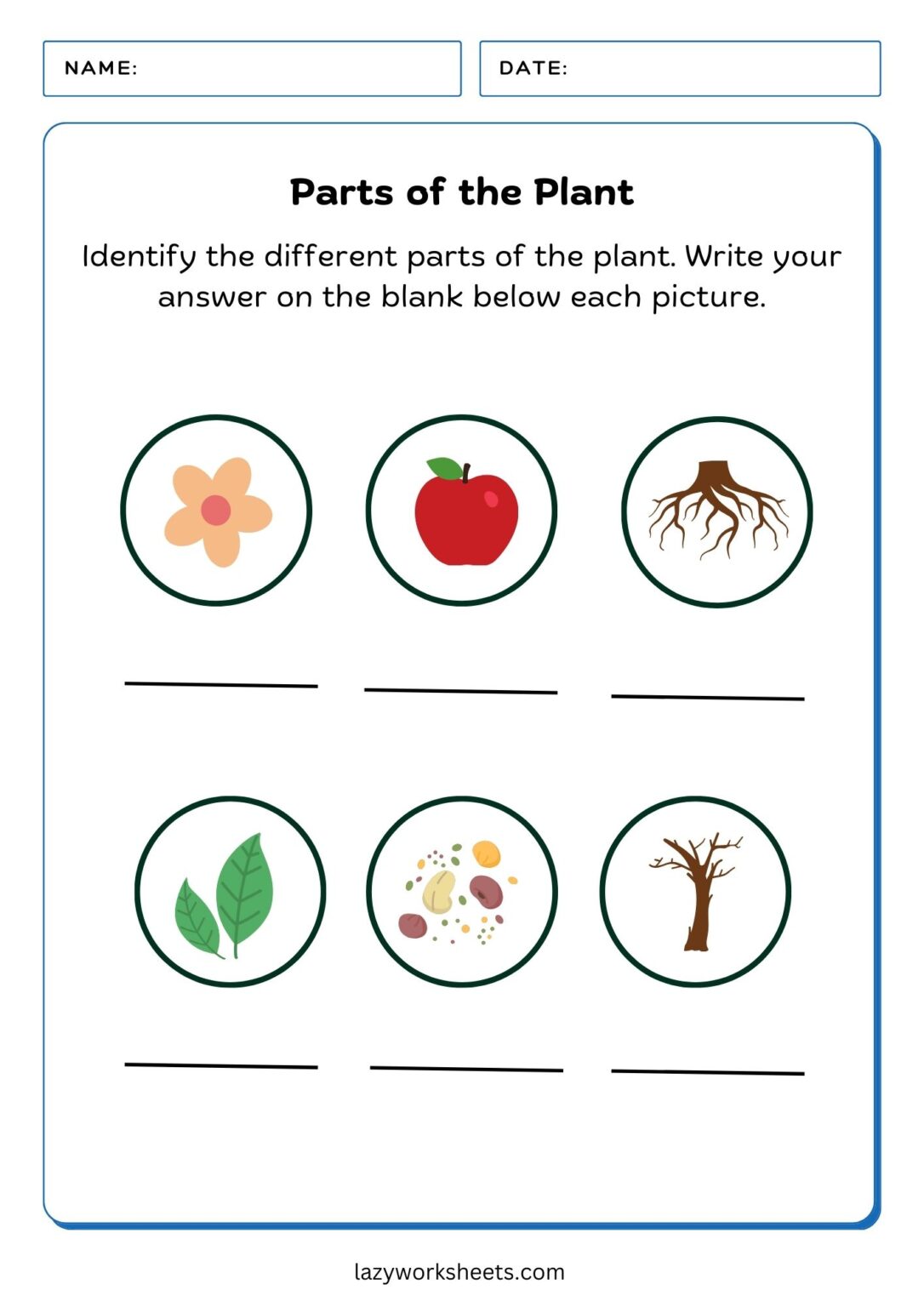 Parts of the Plants Worksheets for Kindergarten | Lazy Worksheets