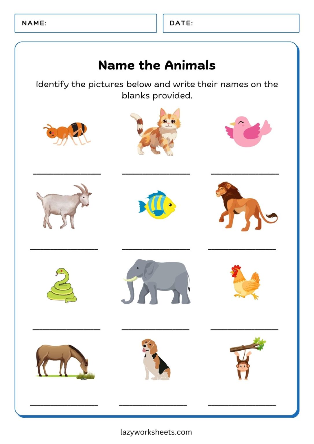 Picture Identification Worksheets | Free PDF Sheets